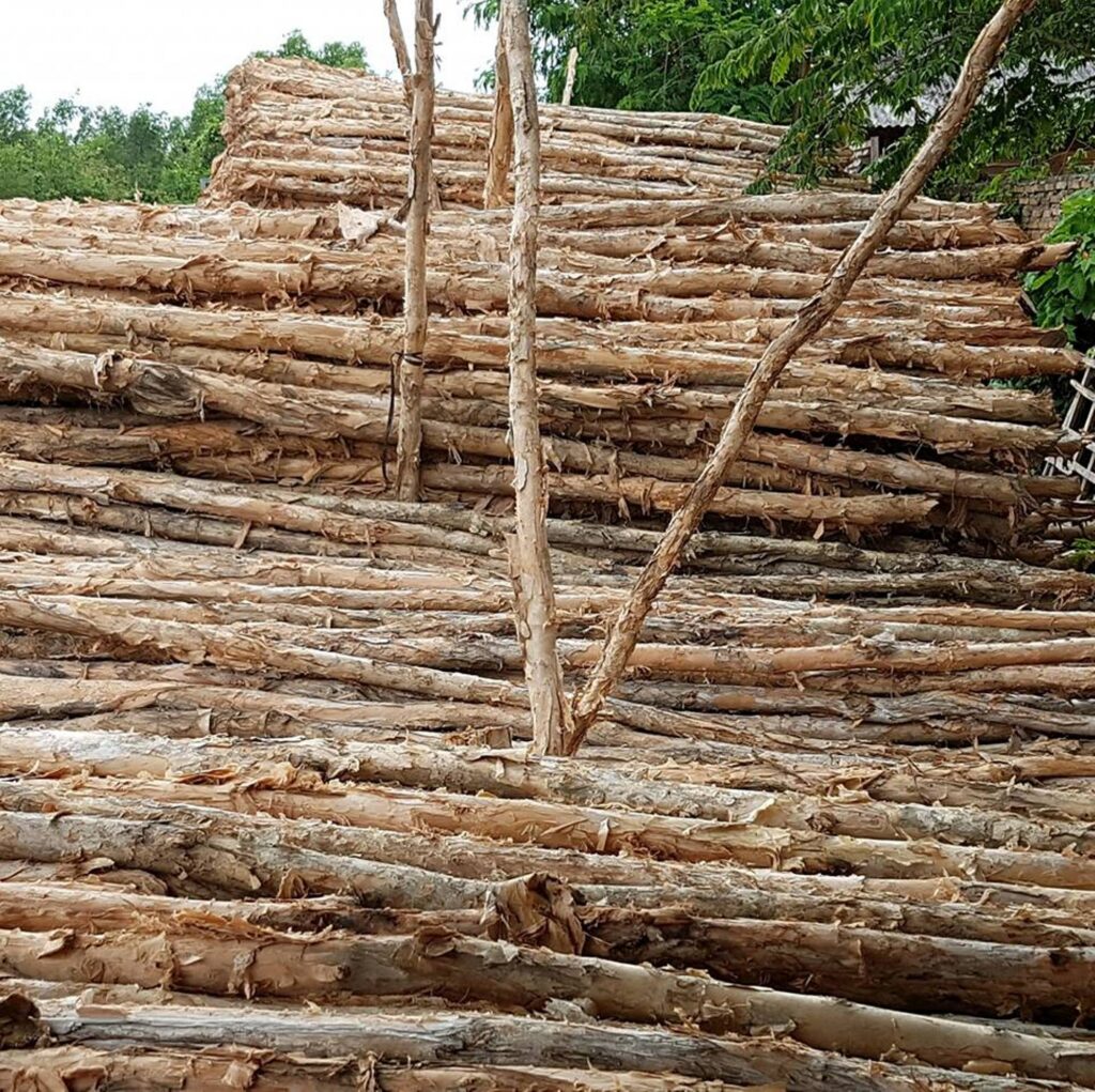 HARGA KAYU KASO dan UKURANNYA Terbaru