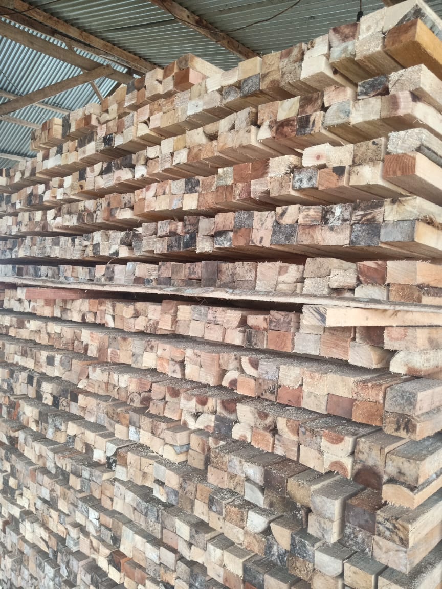Kayu Kaso, Balok & Papan Berkualitas | Harga Murah & Legal